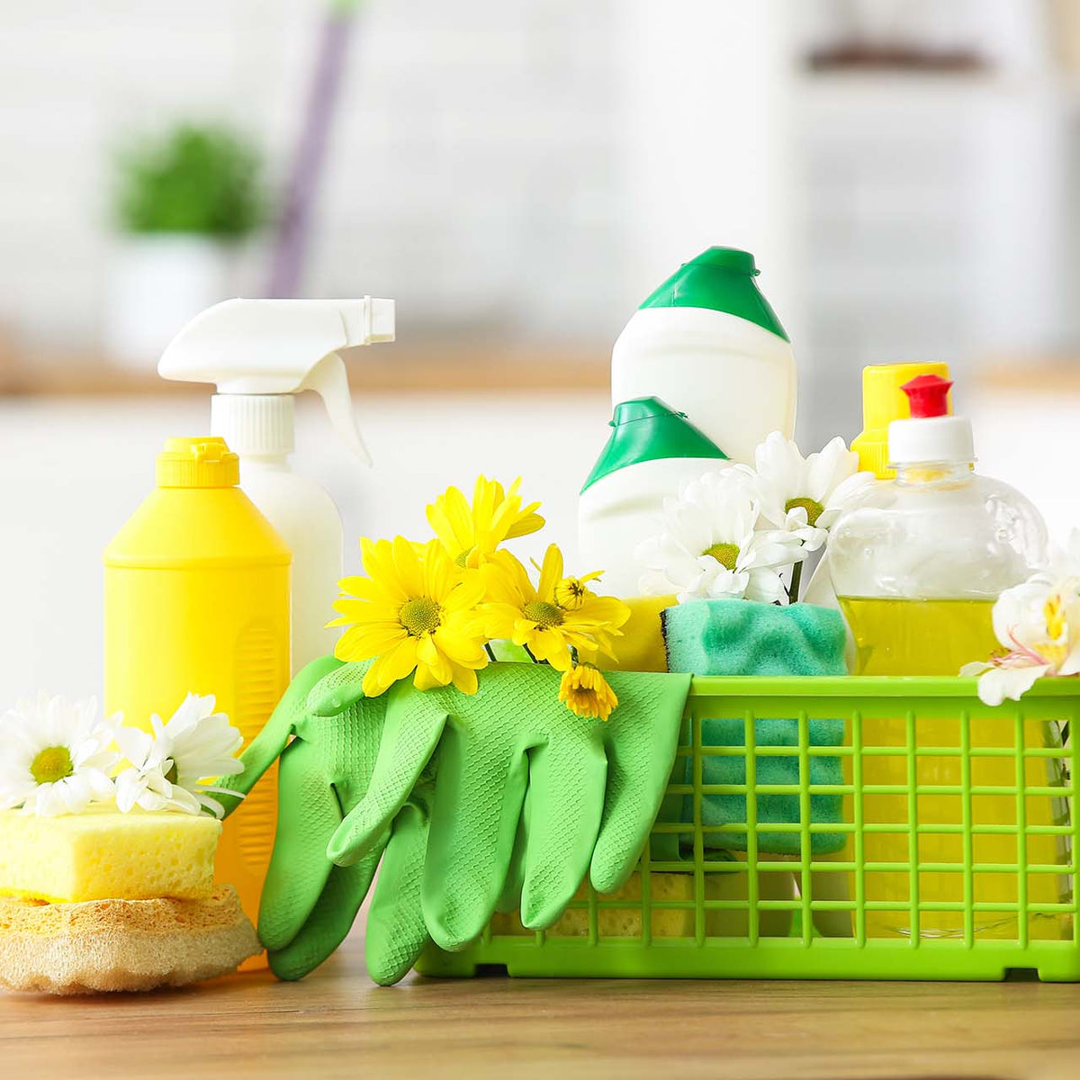 spring cleaning house