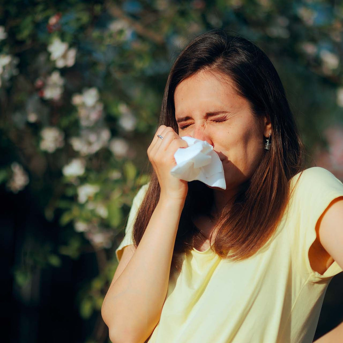 Spring Allergies Guide - Allermi