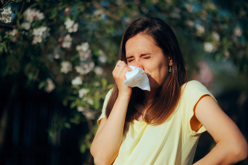 Spring Allergies Guide - Allermi