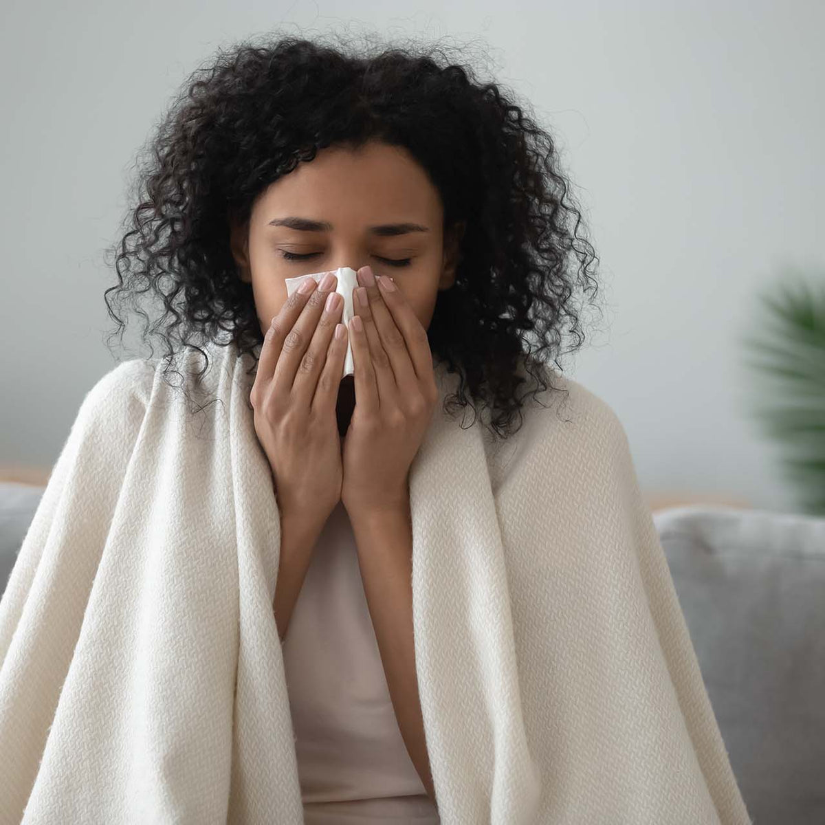 Allergies Vs Cold Which Is It Allermi