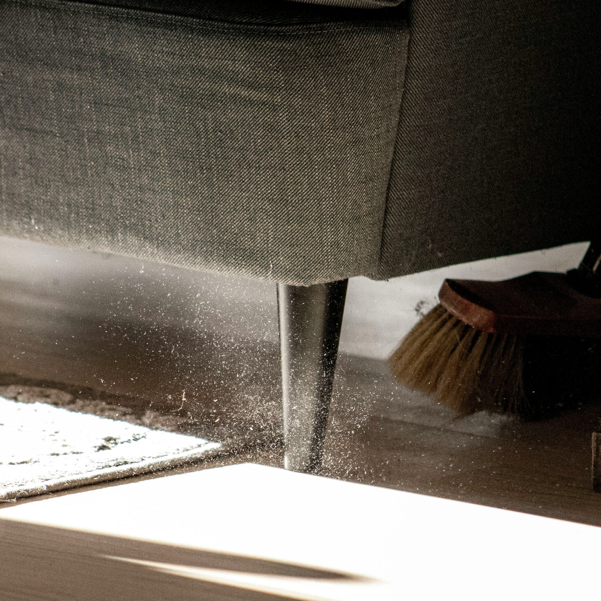 Dust Mite Bites: Symptoms, Prevention, and FAQ - Allermi