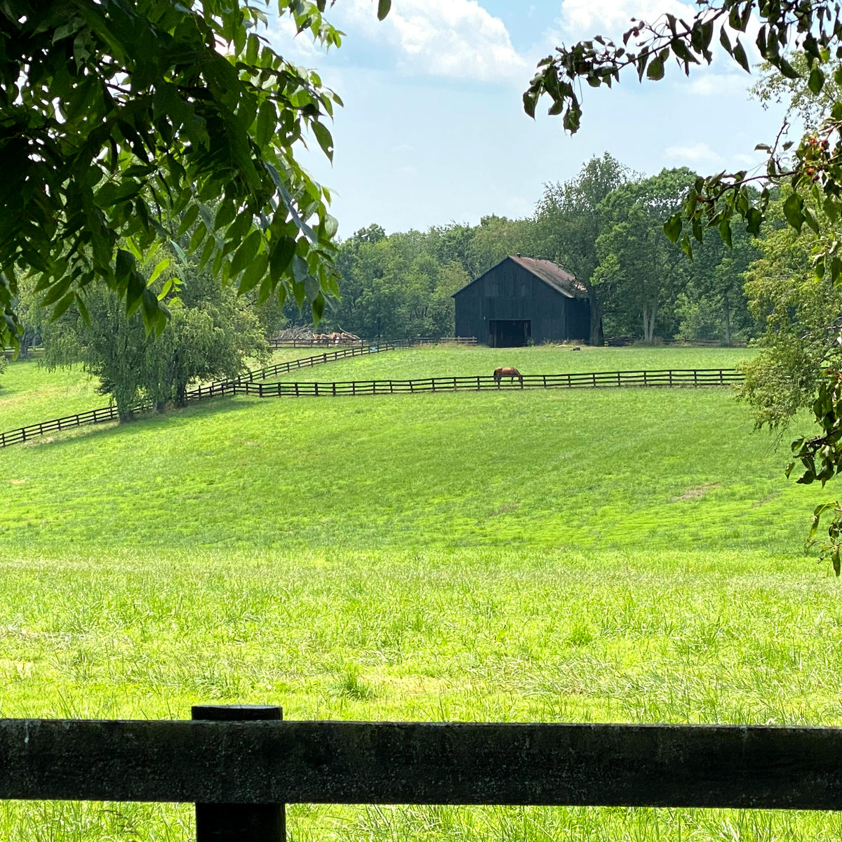 Allergy Season In Kentucky: Allergens By Region + Symptoms & Treatment ...