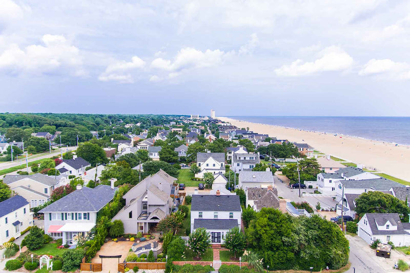 When is Allergy Season in Virginia? Start, Peak, and End (2025) - Allermi