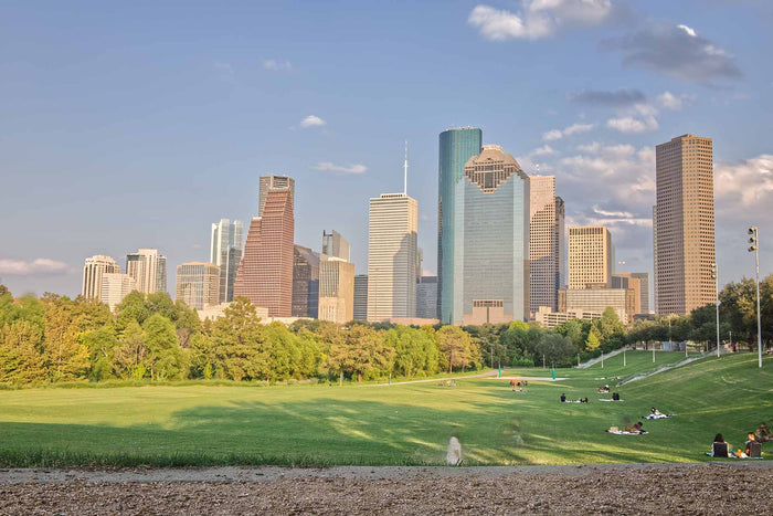 Pollen Count in Houston, TX Today